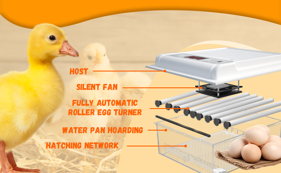 Amazon.com : WRFEICBN 64-Egg Incubator Hatching Eggs 360°Automatic Egg Turning, Temp Auto ...