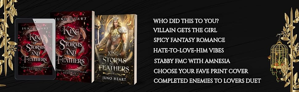 Amazon.com: King of Storms and Feathers: A Dark Fae Fantasy Romance (Courts of the Star Fae ...