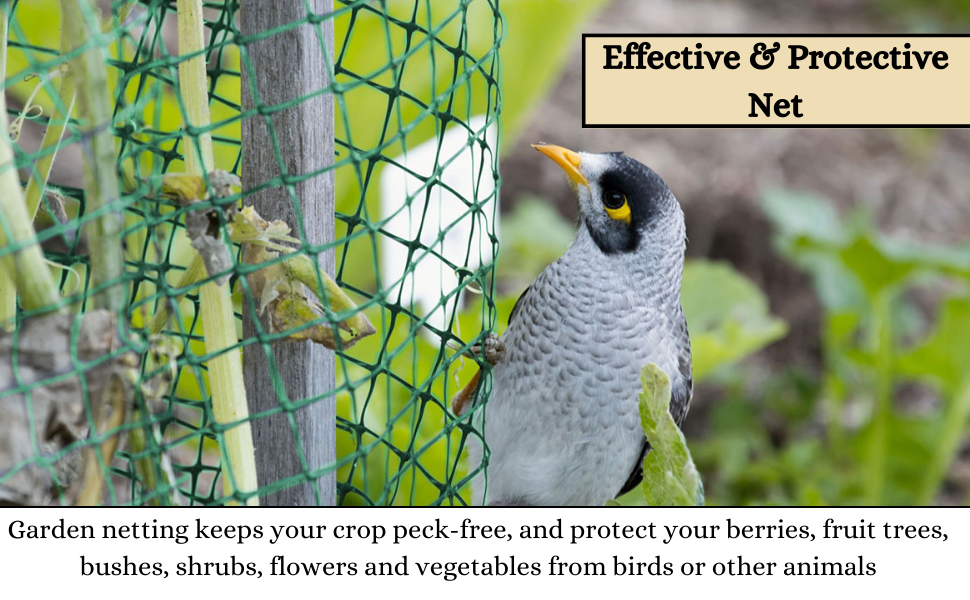 Requisite Needs 4m x 10m Green Garden Netting, Bird Netting Pond Plant Netting for Protecting ...