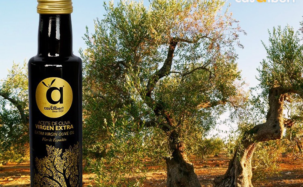 Amazon | EXVオリーブオイル "カサ アルバート” DOP 250mlスペイン産 | 男の台所 | オリーブオイル 通販