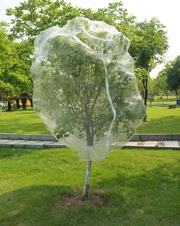 Amazon.com : 2 PCS Large Fruits Tree Netting Cover for Garden, 6.6 x 8.2 ft Insect Bird Barrier ...