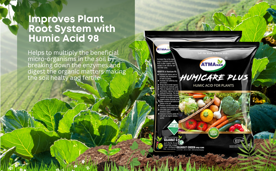 Atmanam Organic Humic Acid (98%) Fertilizer (Water Soluble) For Plants | Plant Growth Enhancer ...