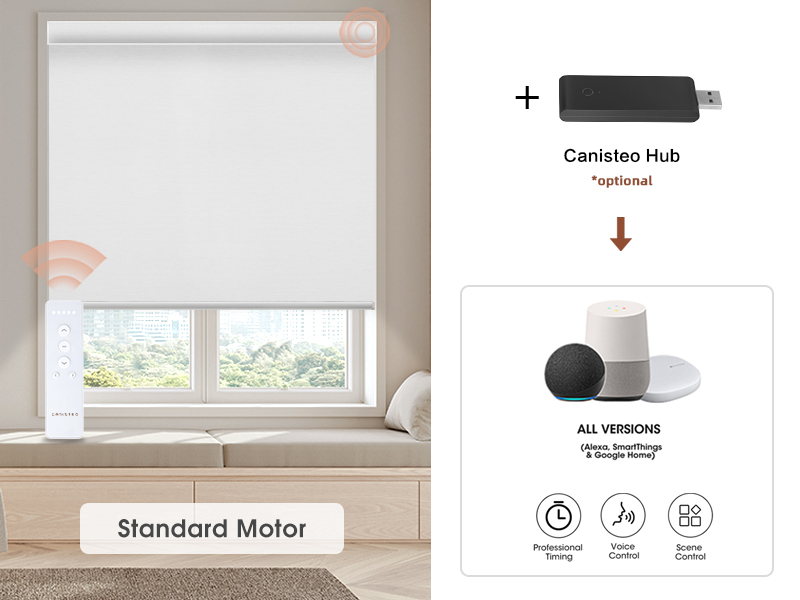Amazon.com: Motorized Blinds Roller Shade with Remote: Canisteo Automatic Smart Blind for ...