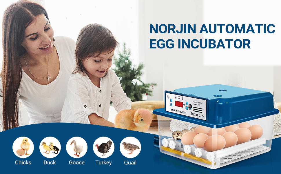 NORJIN Egg Incubator, 16 Eggs Incubator for Hatching Eggs, Digital Incubator with Automatic Egg ...