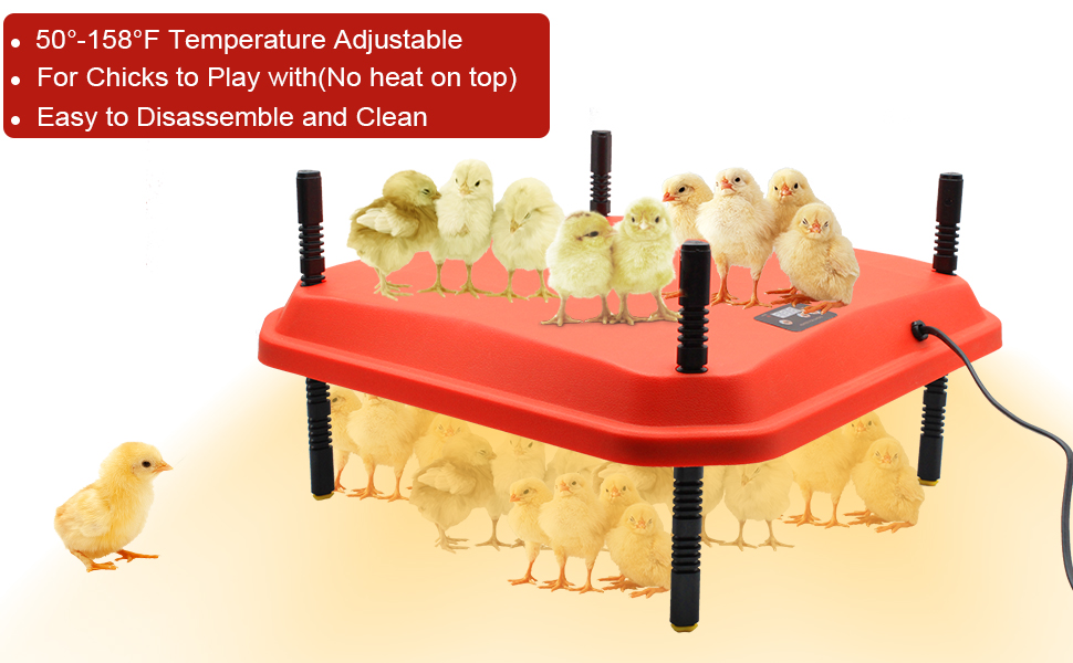 Amazon.com: Daordaer Chicken Brooder Heating Plate for Chicks 12" x 12",LED Display Temperature ...
