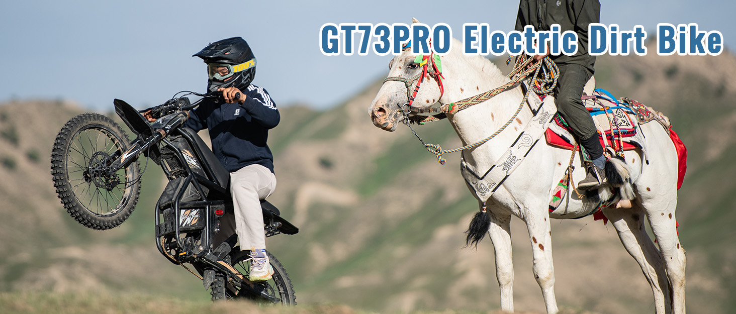 GT73 Electric Dirt Bike for Adults | Max 60KM/H & 130KM Range, 2400W Electric Bike with 1747Wh ...