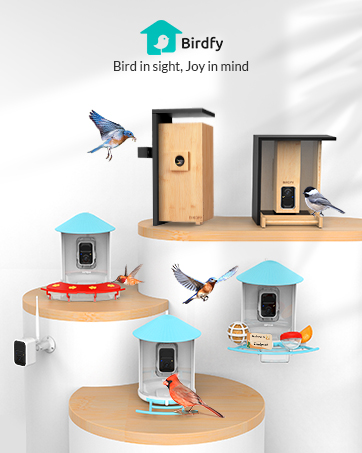 Amazon.com : NETVUE Birdfy Hummingbird Feeder with Camera - 2K Dual Smart Cameras Solar Powered ...