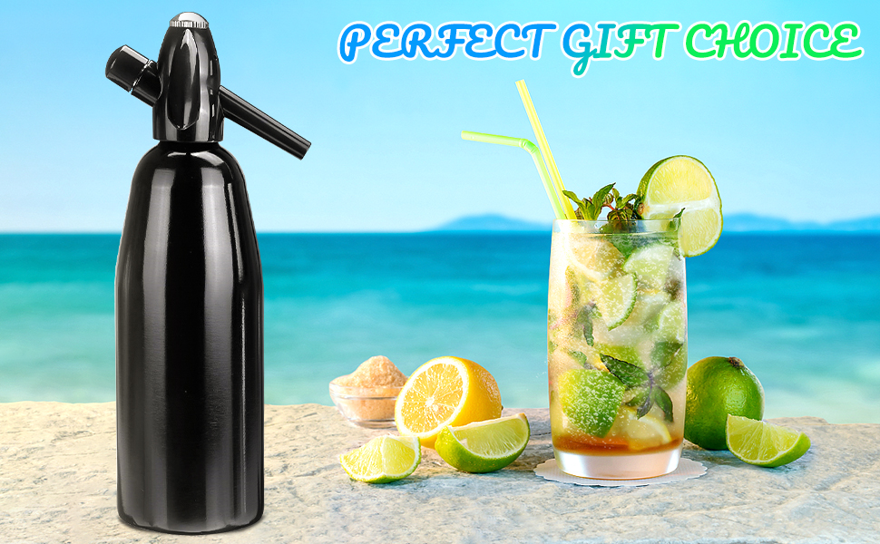 Amazon.com: Soda Siphon, 1L Carbonated Water Machine, Soda Maker, Portable Aluminium Sparkling ...
