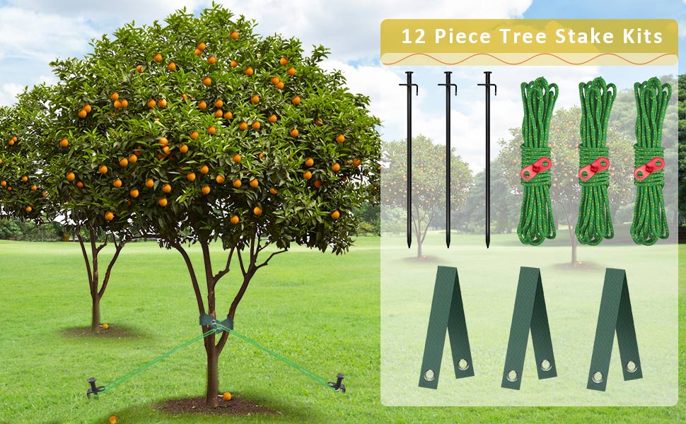 Amazon.com : FCENDS Tree Stake Kit, Heavy Duty Anchor Support for Young ...