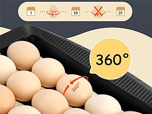 Amazon.com : Sailnovo 35-65 Egg Incubator, Incubator for Hatching Eggs with Automatic Turning ...