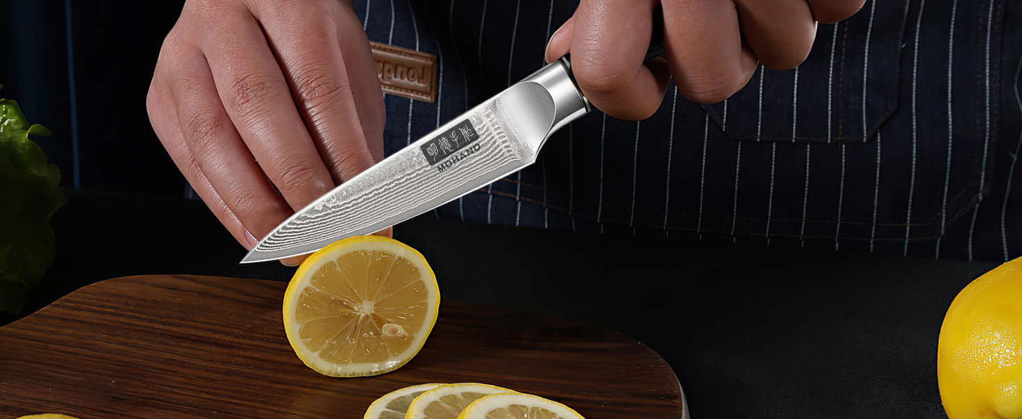 Amazon.com: MDHAND Damascus Kitchen Knife Set 3-Piece, Ultra Sharp ...