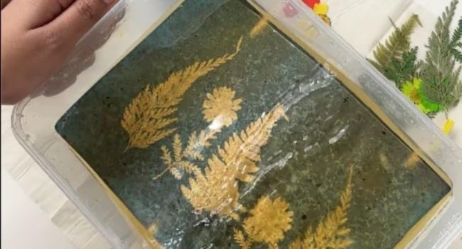 KITSTERS Paper DIY Solar Printing Cyanotype Kit | Alternative Process ...