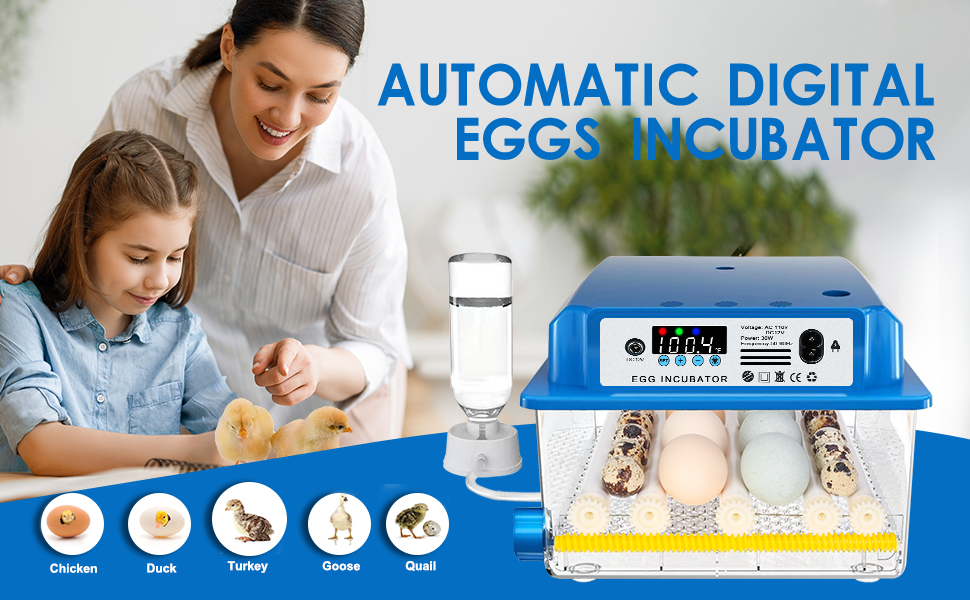 Amazon.com: Vevitts 16 Eggs Incubators for Hatching Egg with Automatic Turner, Fahrenheit ...