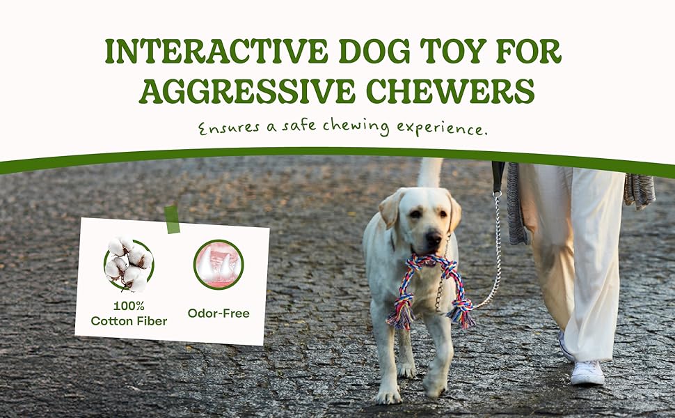 Amazon.com : 2 Pack Dog Rope Toy for Small Dogs, Puppy Teething Toys ...