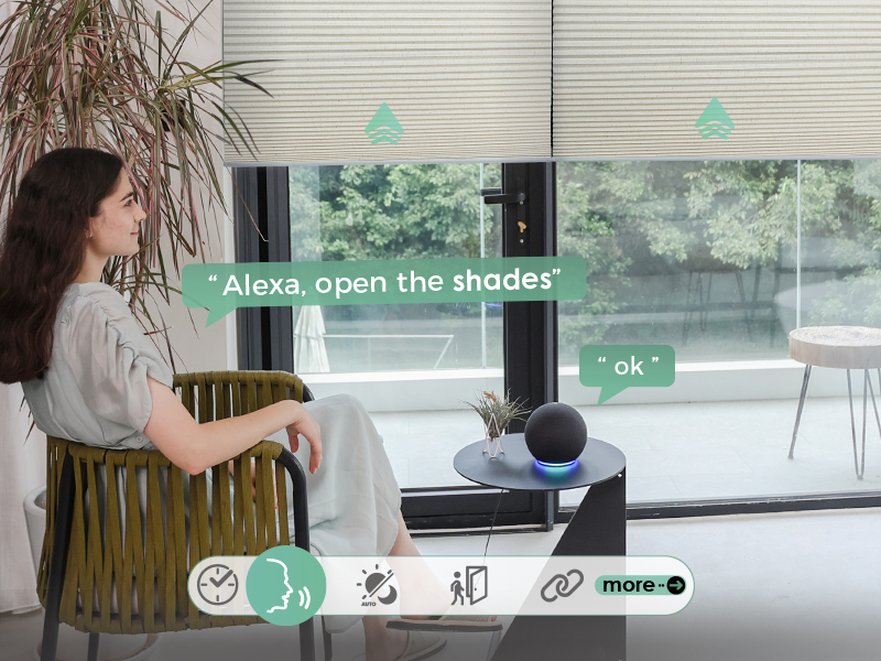 Amazon.com: Yoolax Motorized Cellular Shade with Remote, Smart Honeycomb Blinds Compatible with ...