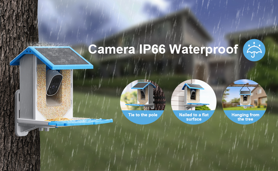 Smart Bird Feeder with Camera - Solar Powered Wireless Video Bird Cam ...