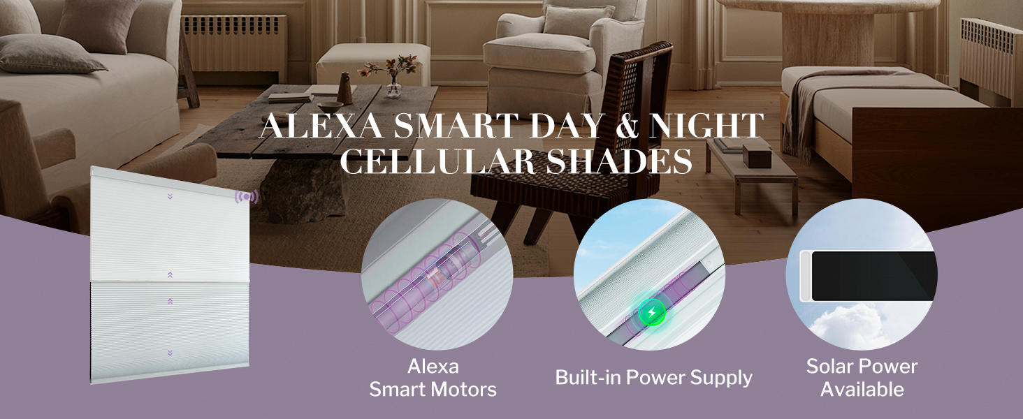 Amazon.com: Graywind Smart Day Night Cellular Shades Compatible with Alexa Google 5/8" Single ...