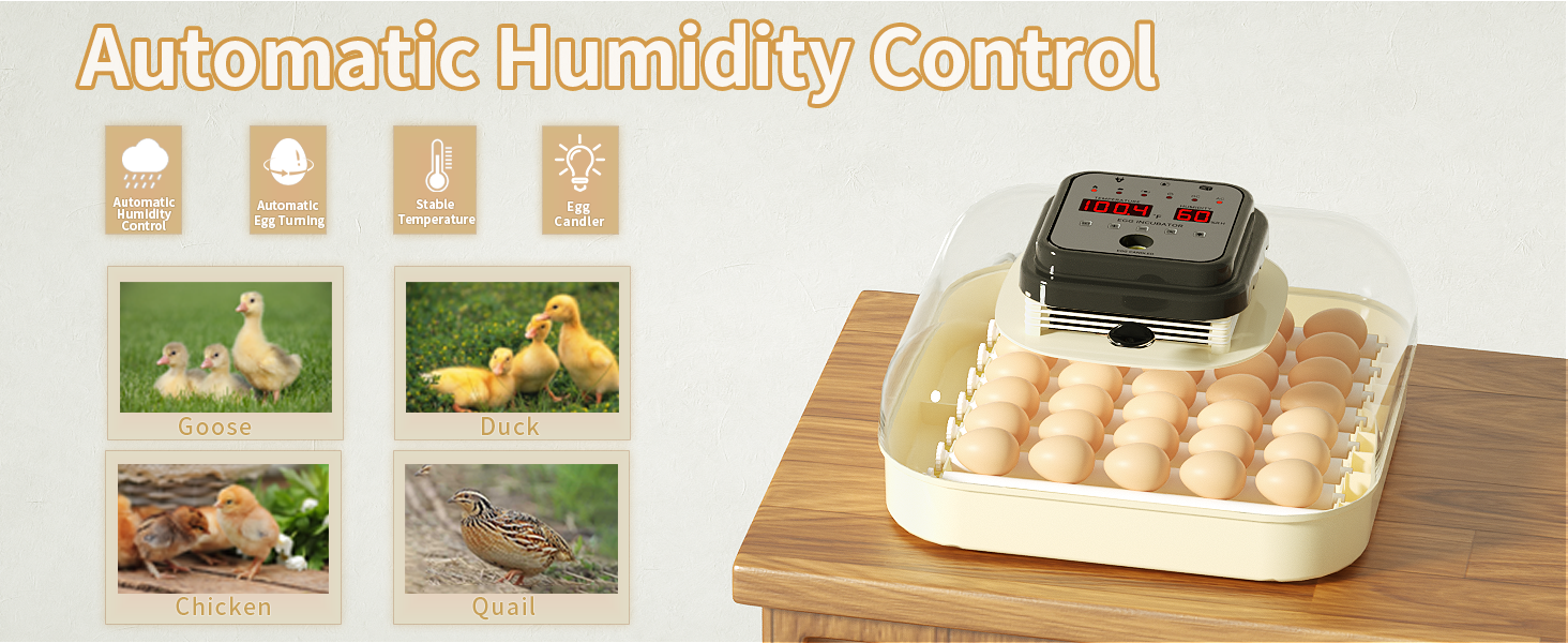 Amazon.com: Hethya Incubators for Hatching - Automatic Egg Turning & Humidity Control, Candler ...