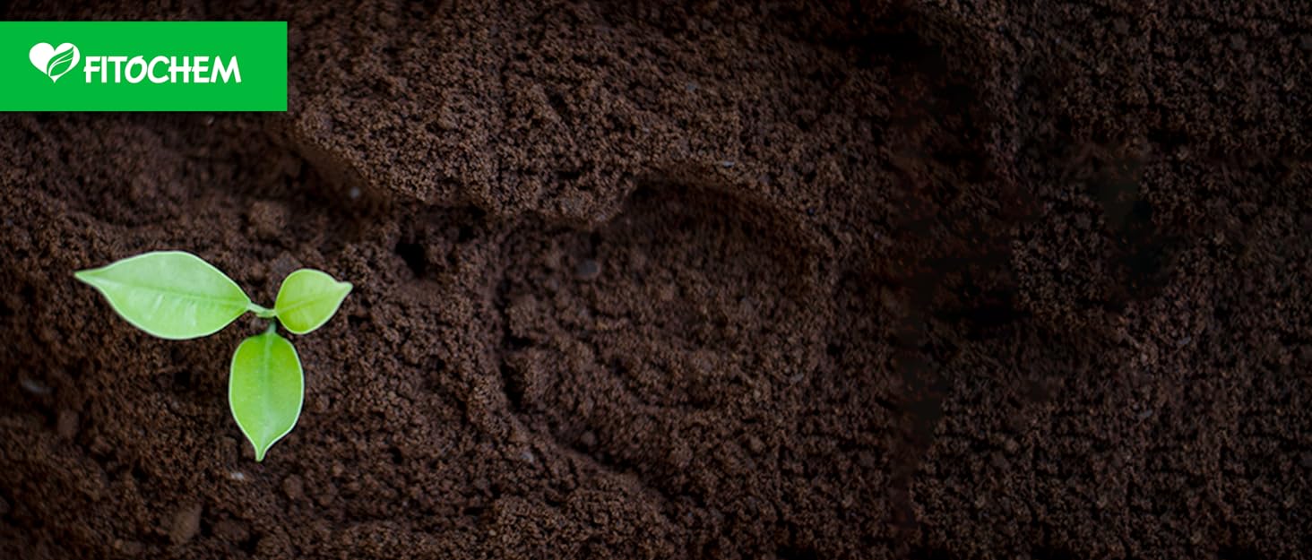 Amazon.com : Fulvi 75 Organic Growers Power Solution, Fertilizer Plant Booster, Real Fulvic Acid ...