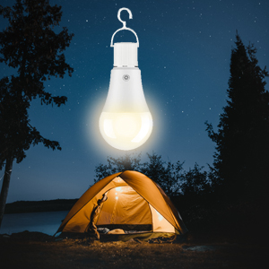 Rechargeable Light Bulbs LED Battery Backup Light Bulb with Remote ...