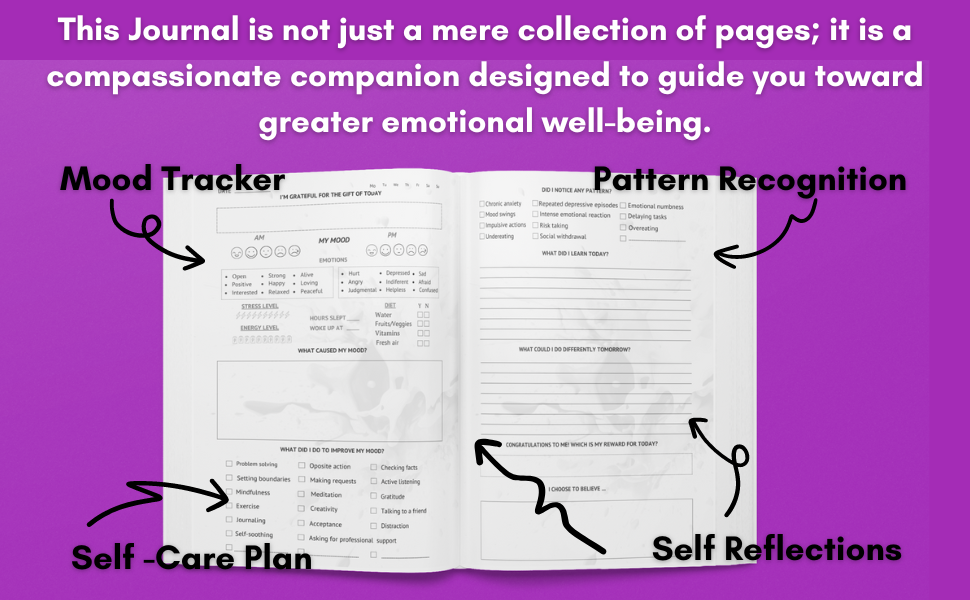 DBT-Based Mood Tracker Journal: Self-care diary with Effective ...
