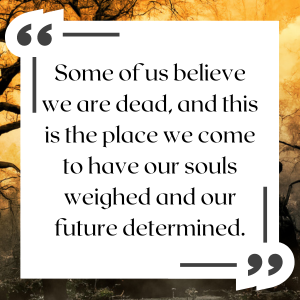 Amazon.com: The Librarian of the Haunted Library: Supernatural Horror Comedy Fantasy (Strangely ...