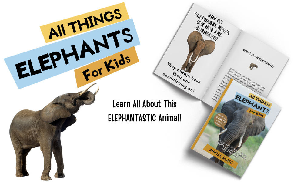 All Things Elephants For Kids: Filled With Plenty of Facts, Photos, and Fun to Learn all About ...