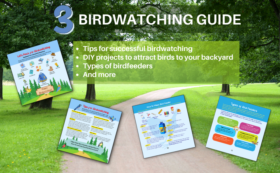 The Most Popular Birds of North America: Bird Watching Guide for Kids: Kid, Nona: 9798551996682 ...