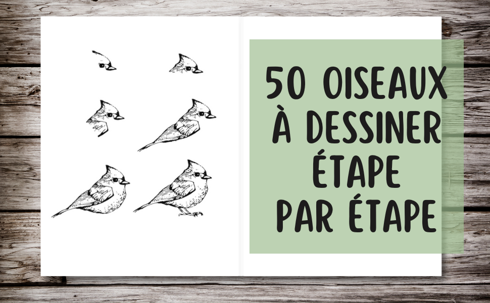 Apprendre À Dessiner Des Oiseaux: J'apprends À Colorier Les Oiseaux ...