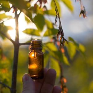 Amazon.com: Olvídate De La Farmacia - Cultiva Tu Propia Medicina: La ...