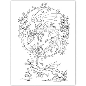 Dragon Dreams Coloring Book (R.J. Hampson Coloring Books): Hampson, R.J ...