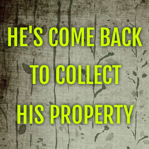 Amazon.com: Girls Found (Rainey Paxton Series Book 4) eBook : Dearth, Paige: Kindle Store