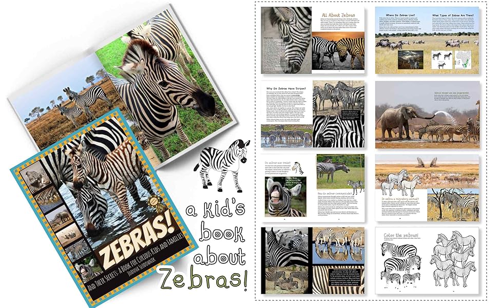 Zebras! And Their Secrets: A Book for Curious Kids and Families ...
