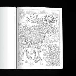 Amazon.com: Amazing Animals: Adult colouring Book,Mandala Animal Designs for mindful coloring ...