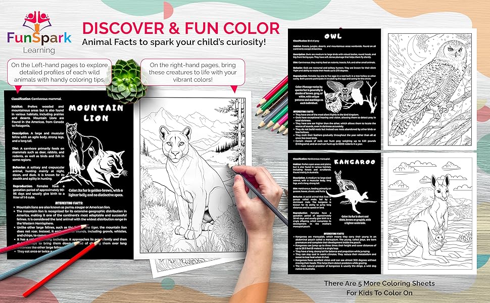 Wild Animals Coloring Book for Kids ages 8 to 12: Wildlife Coloring ...
