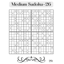 Amazon.com: Sudoku Puzzle Book Volume 2: Medium Level: Big Book of ...