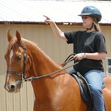 What I'd Teach Your Horse: Training & Re-Training the Basics (Horse ...