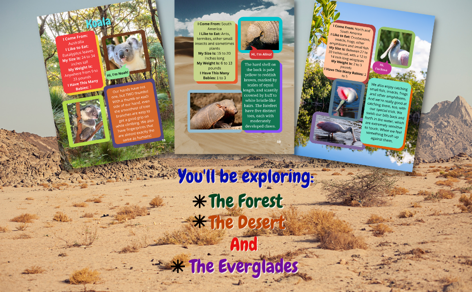 A Kingdom of Wild Animals: Over 700 Facts!: Rodriguez, Lucia, Rodriguez, Carina: 9780578273150 ...