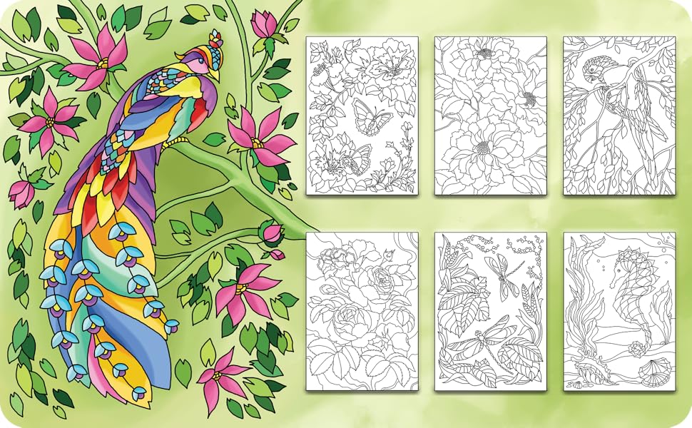 Amazon.com: Coloring Books For Adults Volume 6: 40 Stress Relieving And Relaxing Patterns (Anti ...