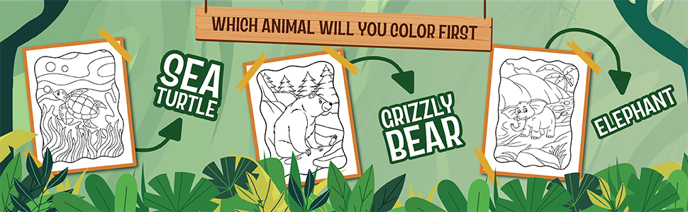 Animal Adventures Colouring Book: Let your imagination roar: An ...