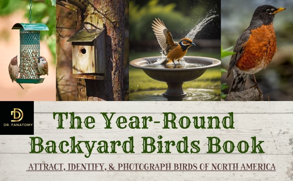 The Year-Round Backyard Birds Book : Birdwatching Guide for Beginners: Fanatomy, Dr ...