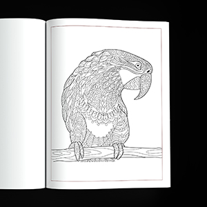 Amazing Animals: Adult colouring Book,Mandala Animal Designs for mindful coloring book ...