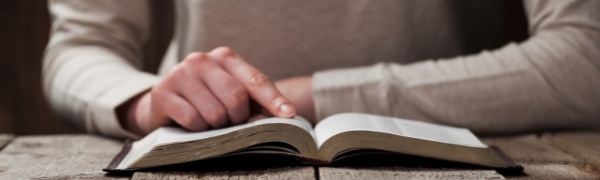 Study the Bible - Six Easy Steps WORKBOOK: Understand Scripture and ...