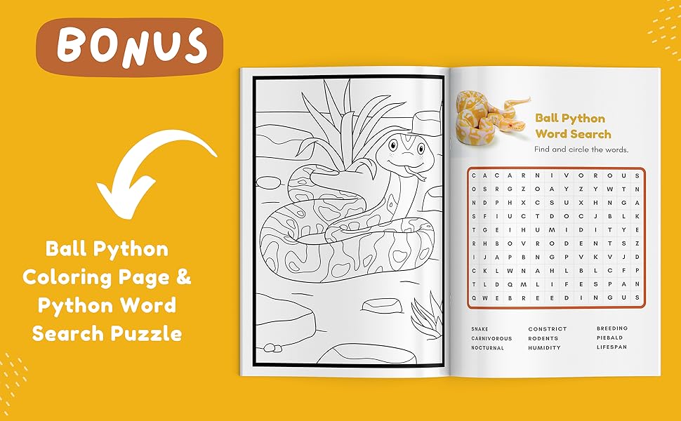 Fun Facts About Ball Python: 24 Frequently Asked Questions by Python ...