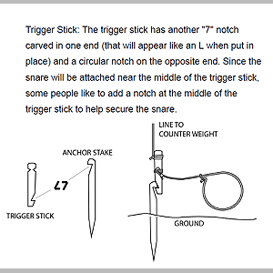 Survival Guide: Hunting with Traps and Snares / Survive / Hunting and Trapping for the Worst ...