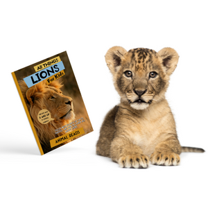 All Things Lions For Kids: Filled With Plenty of Facts, Photos, and Fun ...