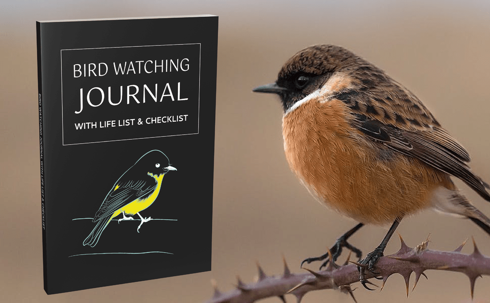 Bird Watching Journal with Life List & Checklist: An Ideal Birding Gift for Bird Lovers ...