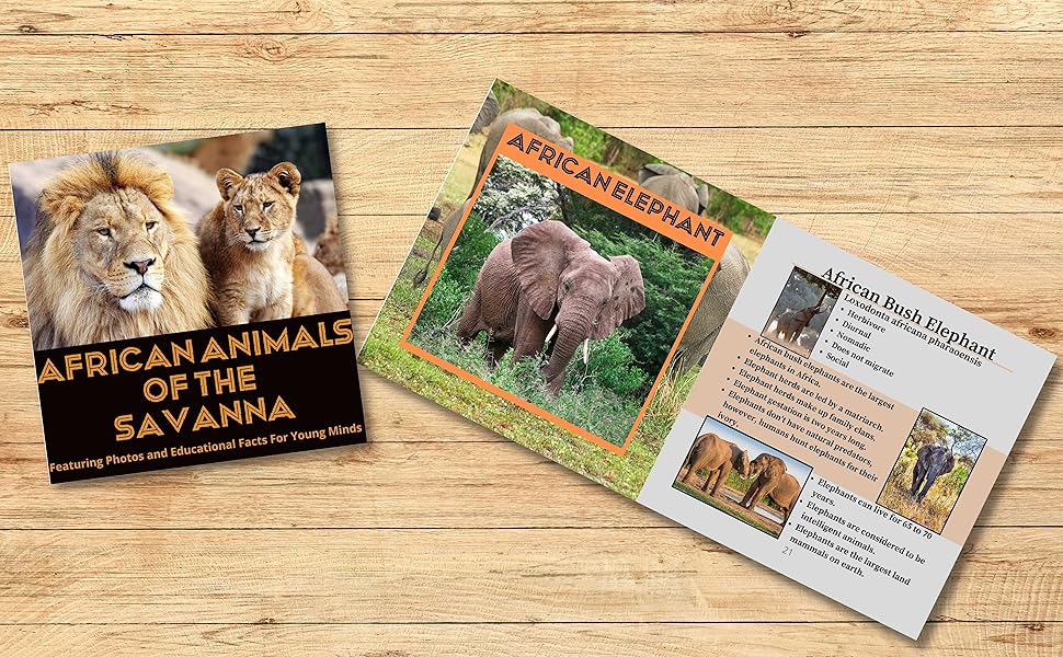 African Animals of the Savanna: Featuring Photos and Fun Educational ...