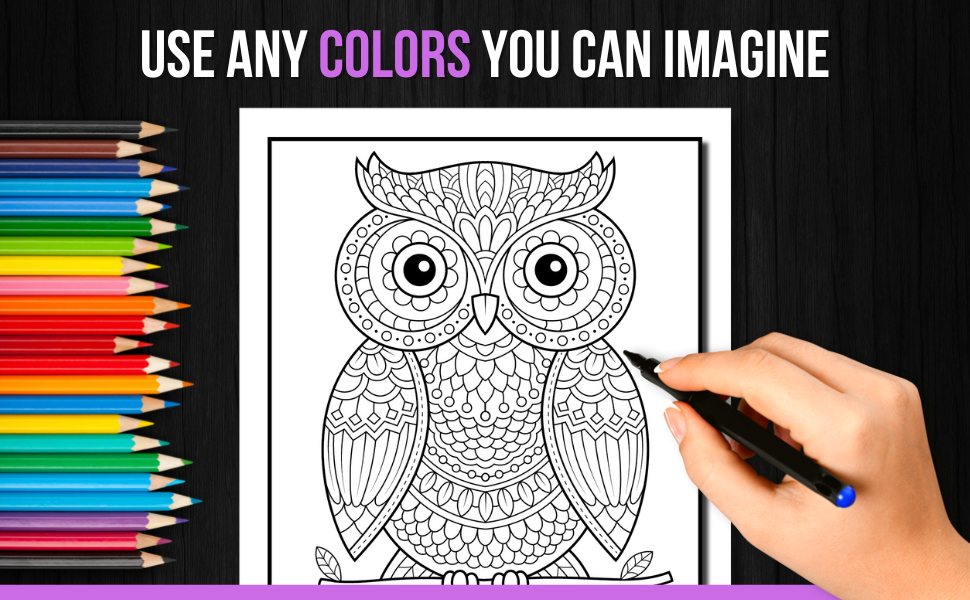 Amazon.com: Adorable Owls: An Adult Coloring Book with Cute Owl ...