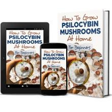Microdosing Psilocybin Mushrooms: An Essential Guide to Microdosing Magic Mushrooms ...